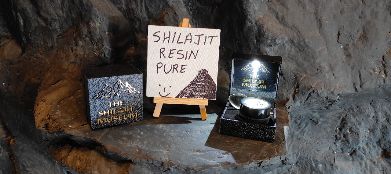 🌿 Shilajit Resin - Pure Essence of Nature's Vitality – TheShilajitMuseum
