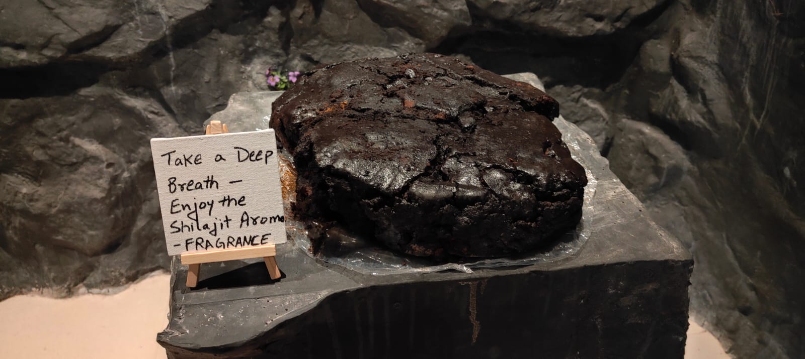 explore – TheShilajitMuseum